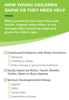 CPP Symptom Screener | Nebraska Resource Project for Vulnerable Young Children